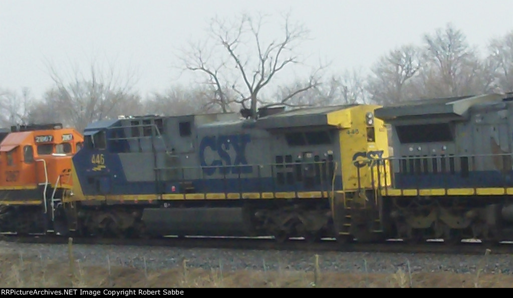 CSX 446